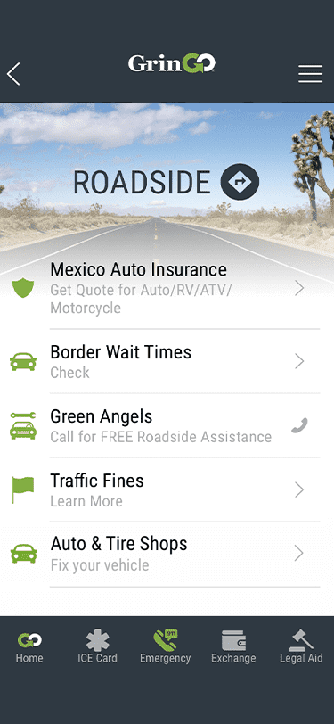How it Works – GrinGO App